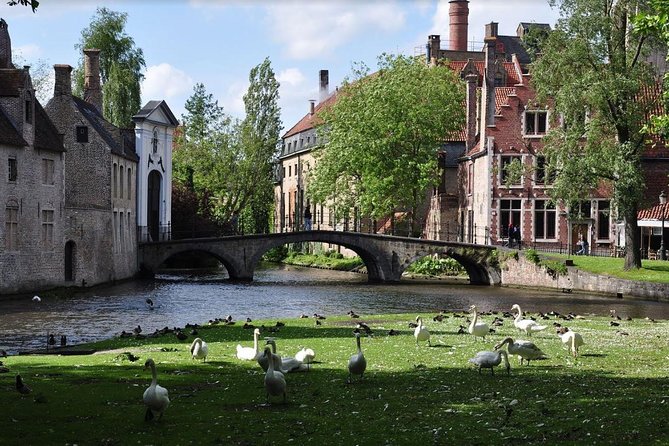 Guided Tour of Bruges - Reasons to Book This Tour