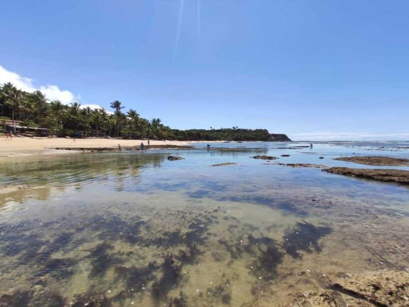 Guided Tour of Espelho Beach - Porto Seguro - Final Thoughts