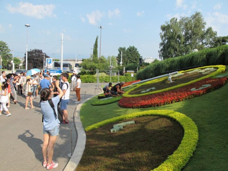 Guided Tour of Geneva: Discovering the Citys Hidden Gems - Language and Accessibility