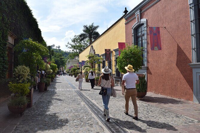 Guided Tour of Guachimontones and Tequila Distillery - What Travelers Are Saying