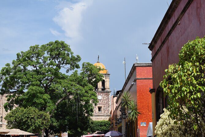Guided Tour of Guachimontones and Tequila Distillery - Who Is This Tour Best For?