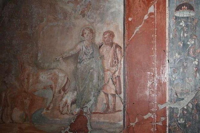 Guided Tour of Herculaneum With an Expert Archaeologist - Accessibility Features