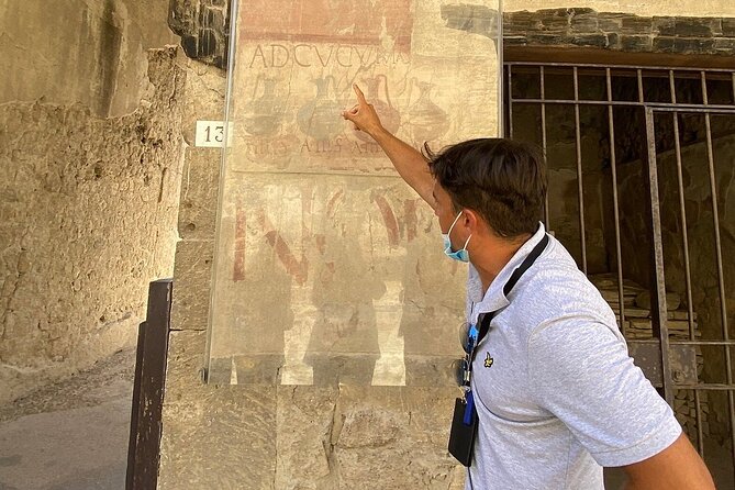 Guided Tour of Herculaneum With an Expert Archaeologist - Reviews and Traveler Feedback