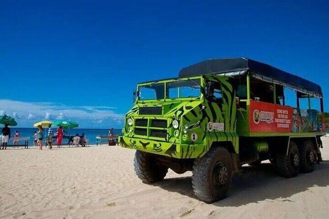 Guided Tour of Higüey Culture and History from Punta Cana - Who Would Enjoy This Tour?