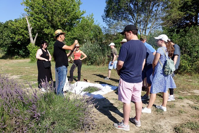 Guided Tour of Lavender Distillery Between Provence & Camargue - Reviews and Feedback