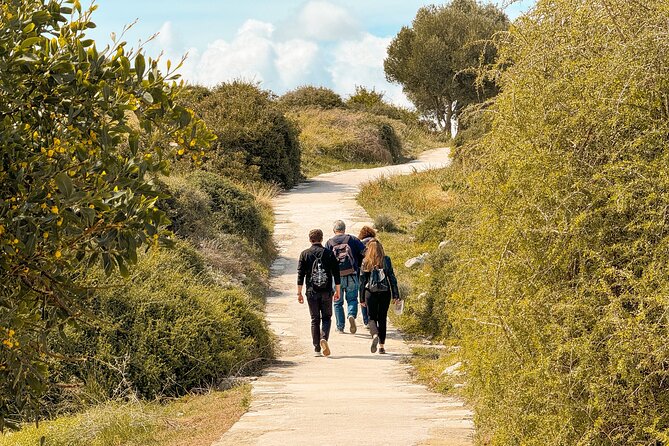Guided Tour of Limassol with Kourion and Kolossi Castle - An Introduction to the Tour Experience