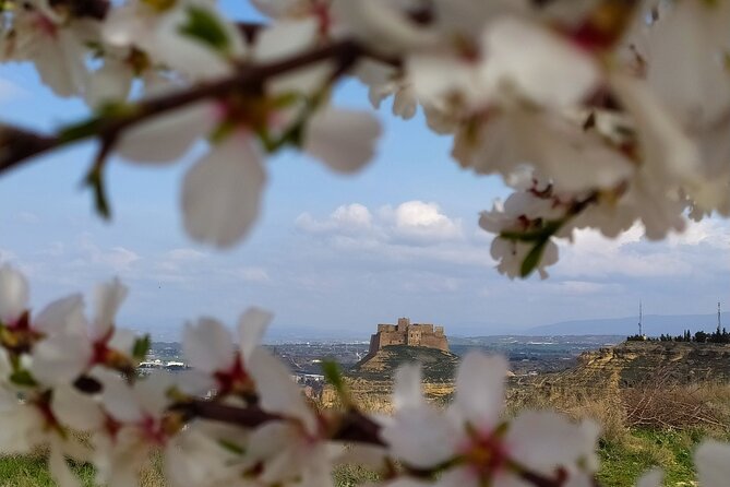Guided tour of Monzón and the castle 3h. - A Closer Look at the Tour Itinerary