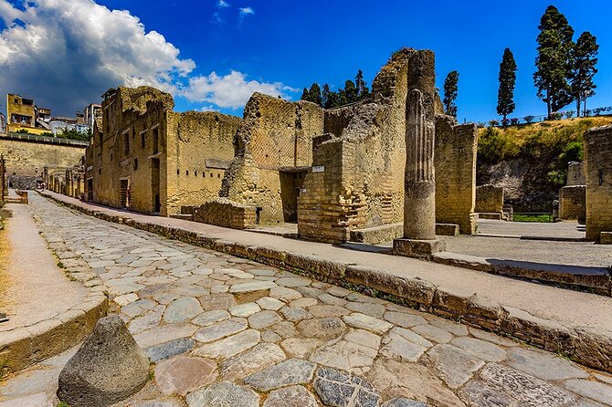 Guided Tour of Pompeii and Herculaneum With Lunch and Ticket - Accessibility and Participation Details