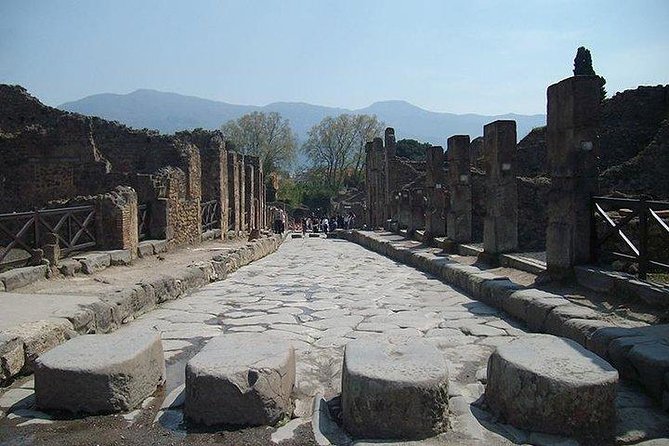 Guided Tour of Pompeii and Herculaneum With Lunch and Ticket - Booking Information and Pricing