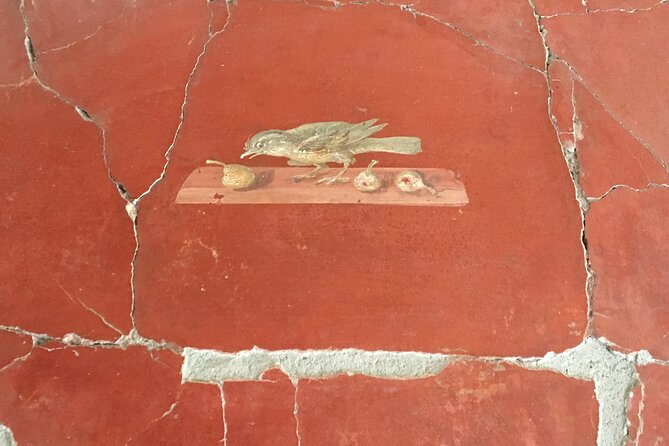 Guided Tour of Pompeii - Experiencing the Baths and Brothel