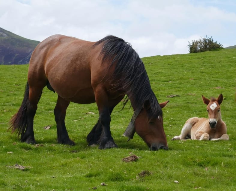 Guided tour of the 5 most beautiful towns in Basque Country - The Benefits of Guided Small-Group Travel