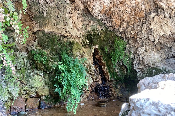 Guided Tour of the Alcazar of the Christian Monarchs - Visitor Reviews and Feedback