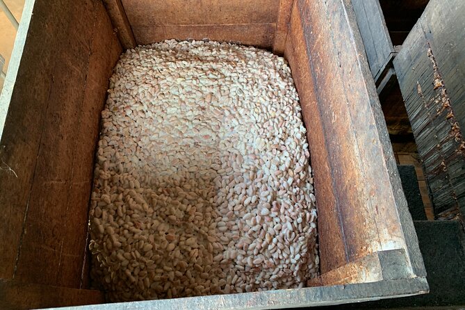 Guided Tour of the Artisan Chocolate Factory in Tuscany - Traveler Reviews and Feedback