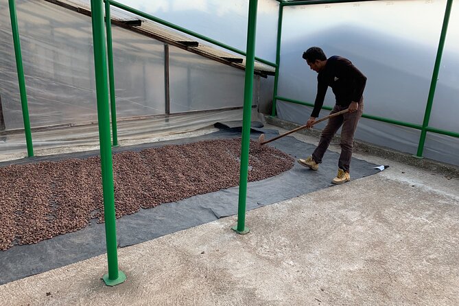 Guided Tour of the Artisan Chocolate Factory in Tuscany - Pricing and Booking Information