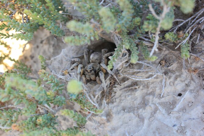 Guided Tour of the Bardenas Reales De Navarra by 4x4 - Included Amenities