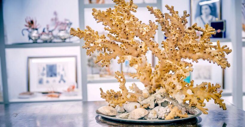 Guided tour of the coral museum in Sciacca - Key Points