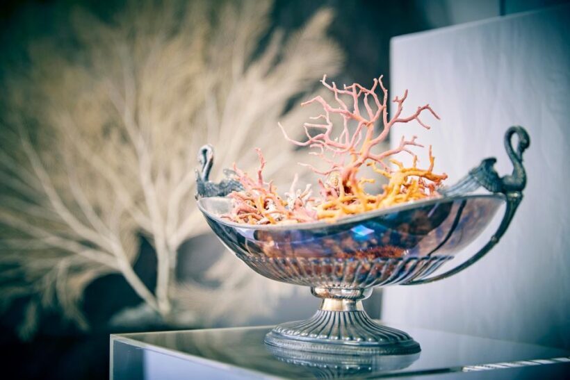 Guided tour of the coral museum in Sciacca - A Detailed Look at the Coral Museum Tour