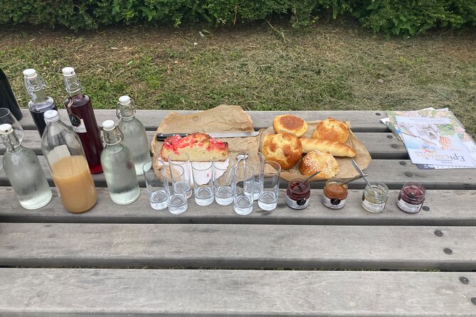 Guided Tour of the Coteaux Côte Rôtie for Parents and Children Duos - Key Points