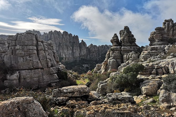 Guided Tour of the Dolmens and El Torcal - Customer Feedback