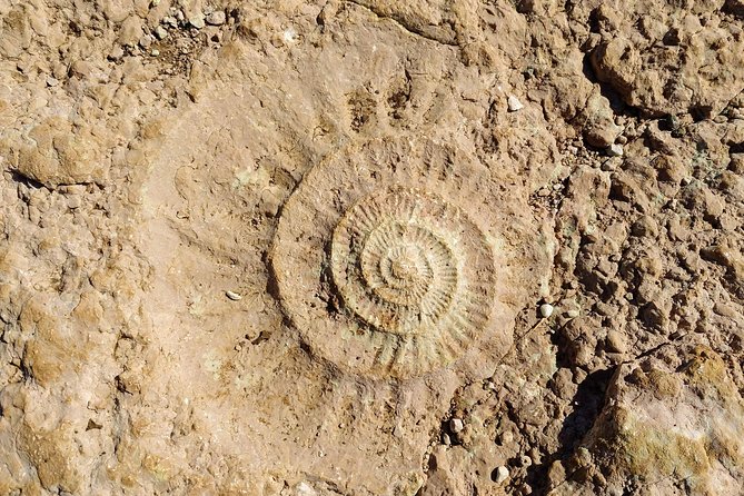 Guided Tour of the Dolmens and El Torcal - Visiting the Dolmens