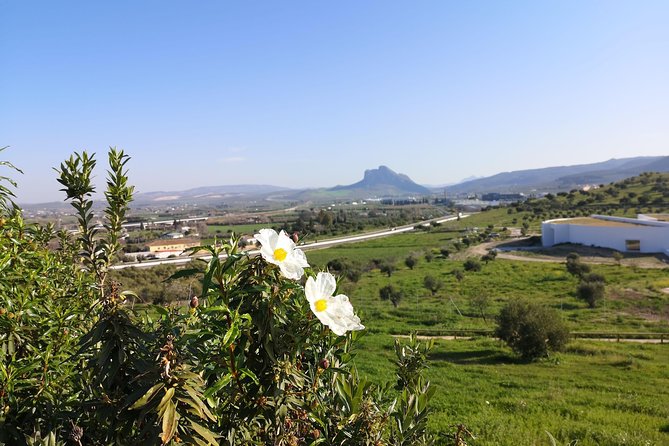 Guided Tour of the Dolmens and El Torcal - Getting to the Meeting Point