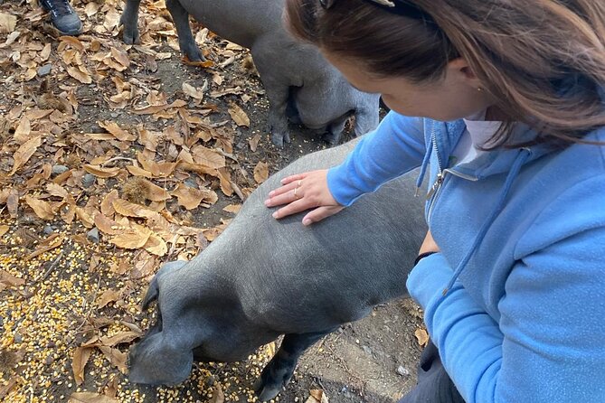 Guided Tour of the Genal Valley - Overview of the Guided Tour of the Genal Valley