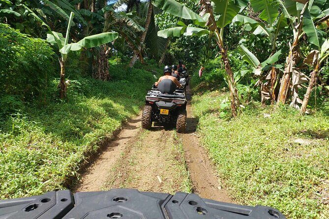 Guided tour of the island and its escapades in Tahaa by Quad / ATV - Who Should Consider This Tour?