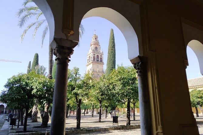 Guided Tour of the Mosque-Cathedral of Cordoba in Spanish - Tour Experience