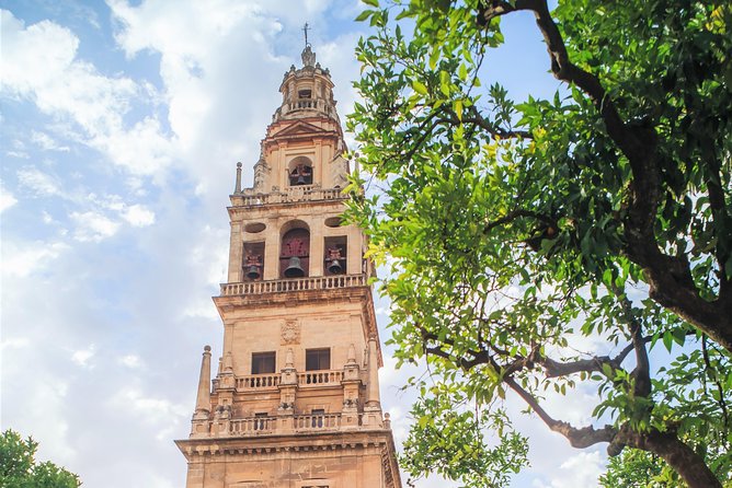 Guided Tour of the Mosque With Entrance Included - Accessibility and Participation