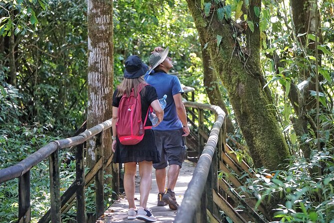 Guided Tour of the National Park Manuel Antonio - Wildlife Viewing Opportunities