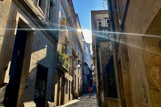 Guided Tour of the Old Town With an Official Guide - Visiting the Santiago Cathedral
