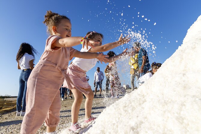 Guided Tour of the Salt Pans of Trapani and the Salt Museum - Tour Features