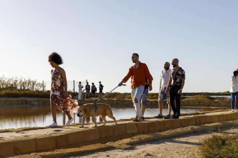Guided tour of the Trapani Salt Pans and Salt Museum - Pricing and Value