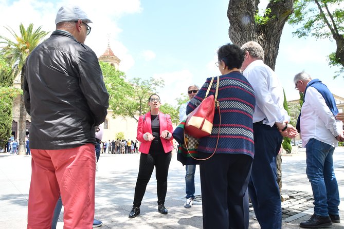 Guided Tour of Úbeda and Baeza - Transportation and Accessibility