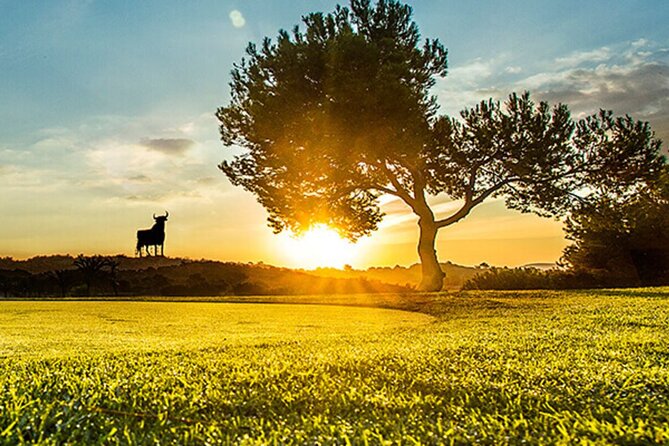 Guided tour of Vinalopó Castles and Wine Tasting - Authentic Experiences and Hidden Gems