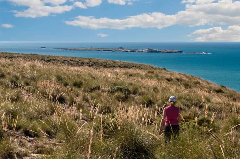 Guided tour Santa Pola Bonita, half day with transfer and snack included. - FAQ