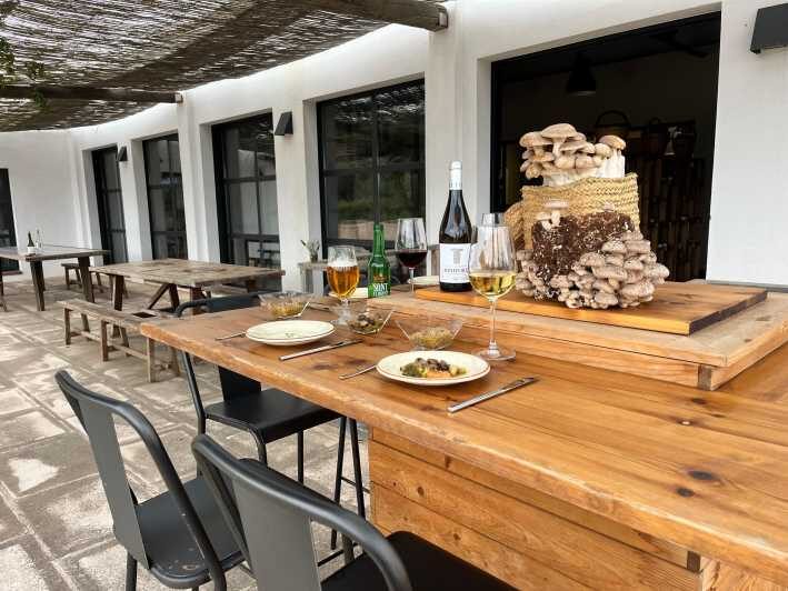 GUIDED TOUR + TASTE IN A MUSHROOM FARM - Authentic Experiences and Real Feedback