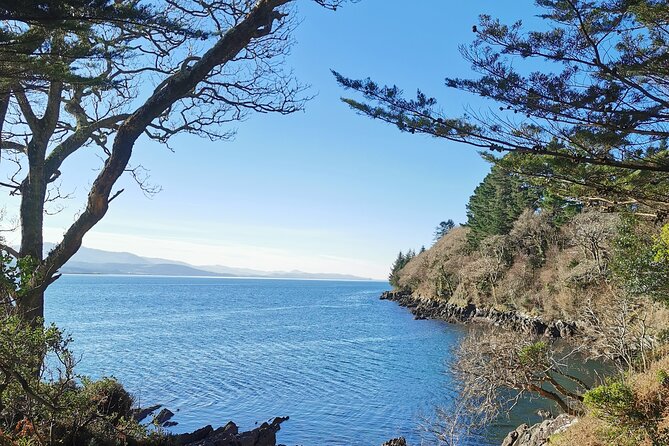 Guided Tour The Ring of Kerry, Skellig Ring and Valencia Island - Exploring the Guided Tour of the Ring of Kerry, Skellig Ring, and Valentia Island