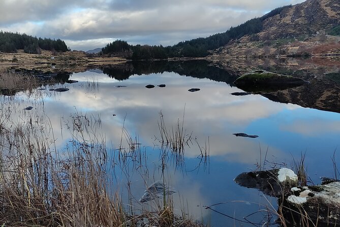 Guided Tour The Ring of Kerry, Skellig Ring and Valencia Island - Practical Details & What to Expect
