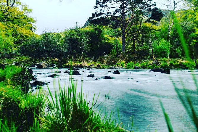 Guided Tour The Ring of Kerry, Skellig Ring and Valencia Island - FAQ