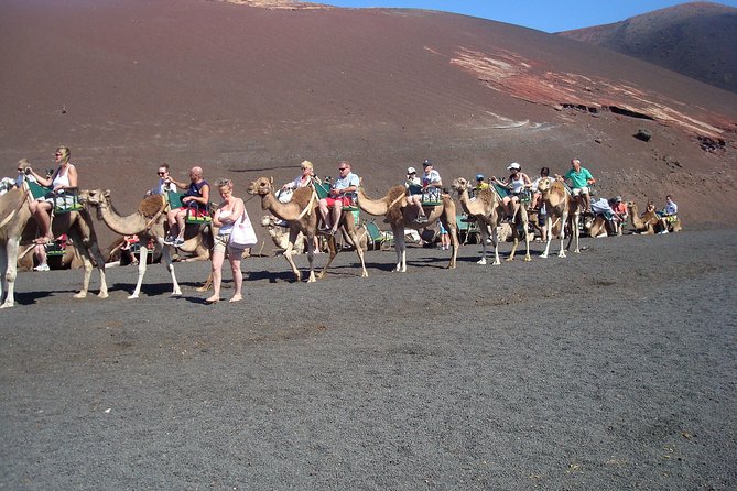 Guided Tour: Timanfaya National Park and La Geria With Pick-Up - Timanfaya National Park Exploration