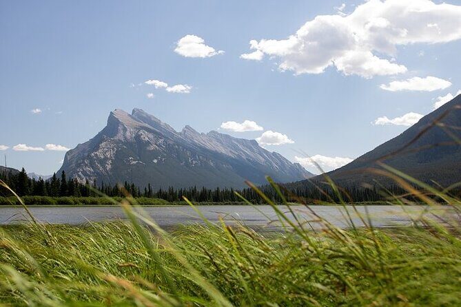Guided Tour to Banff Highlights & Wildlife With Gondola Admission - Who Would Love This Tour?