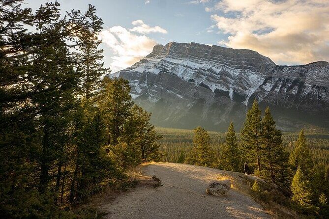 Guided Tour to Banff Highlights & Wildlife With Gondola Admission - FAQ