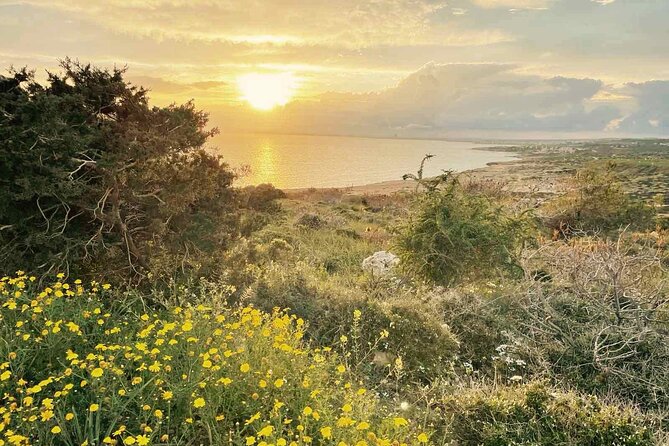 Guided Tour to Cape Greko From Larnaca - Meeting and Pickup Details