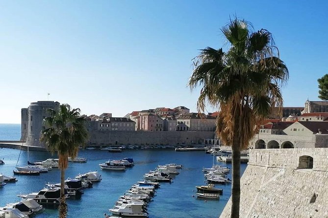 Guided Tour to discover Dubrovnik's Old Town, by day or night - Meeting Points and Practical Details