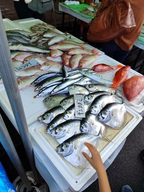 Guided Tour to Discover Tokyo. - Key Points