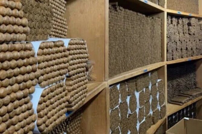 Guided Tour to Don Lucas Cigars Factory and Souvenirs Store - Final Thoughts: Is It Worth It?