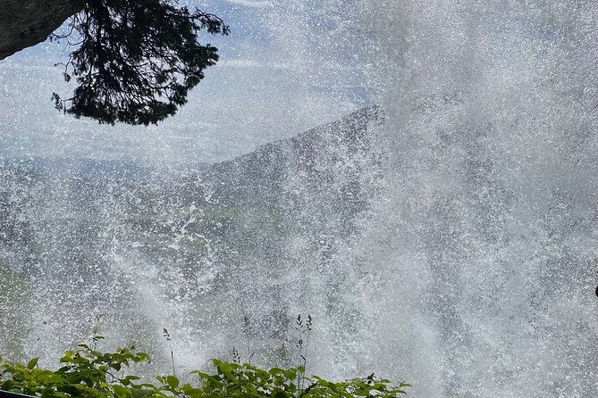 Guided Tour to Hardanger Fjord, Waterfalls and Ferry Crossing - Tips for Making the Most of Your Tour