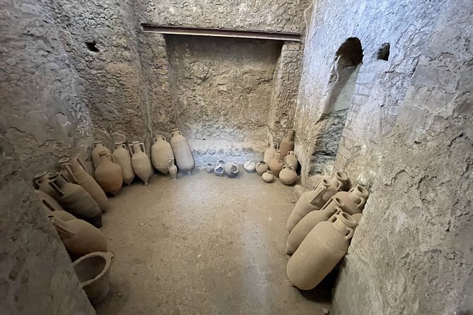 Guided Tour to Pompeii Ruins and Vesuvius from Sorrento - Who Is This Tour Best For?