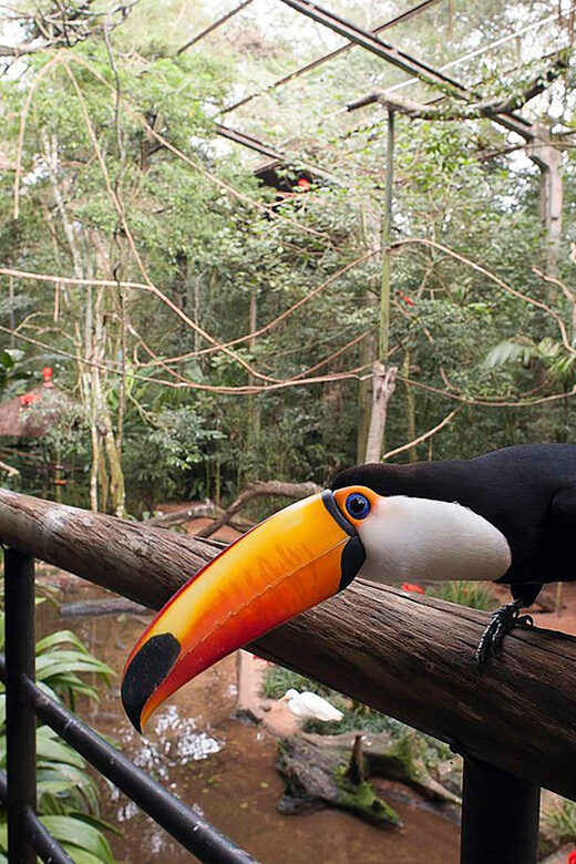 Guided Tour to the Bird Park - VIP Tour - Key Points